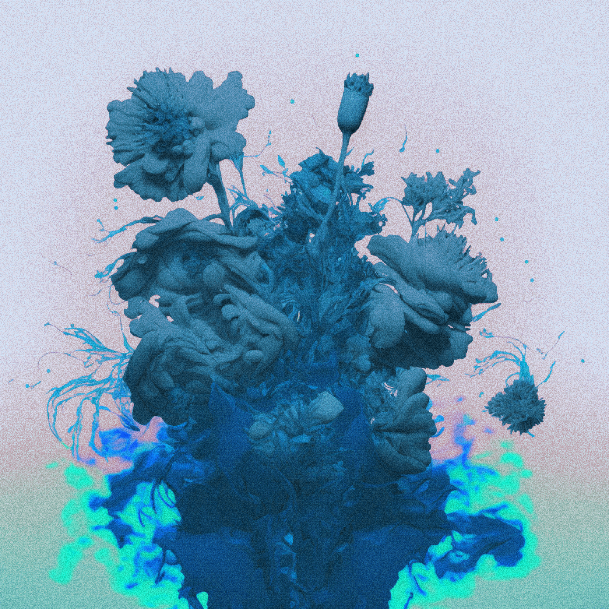 WEB-PUNK | Foundation