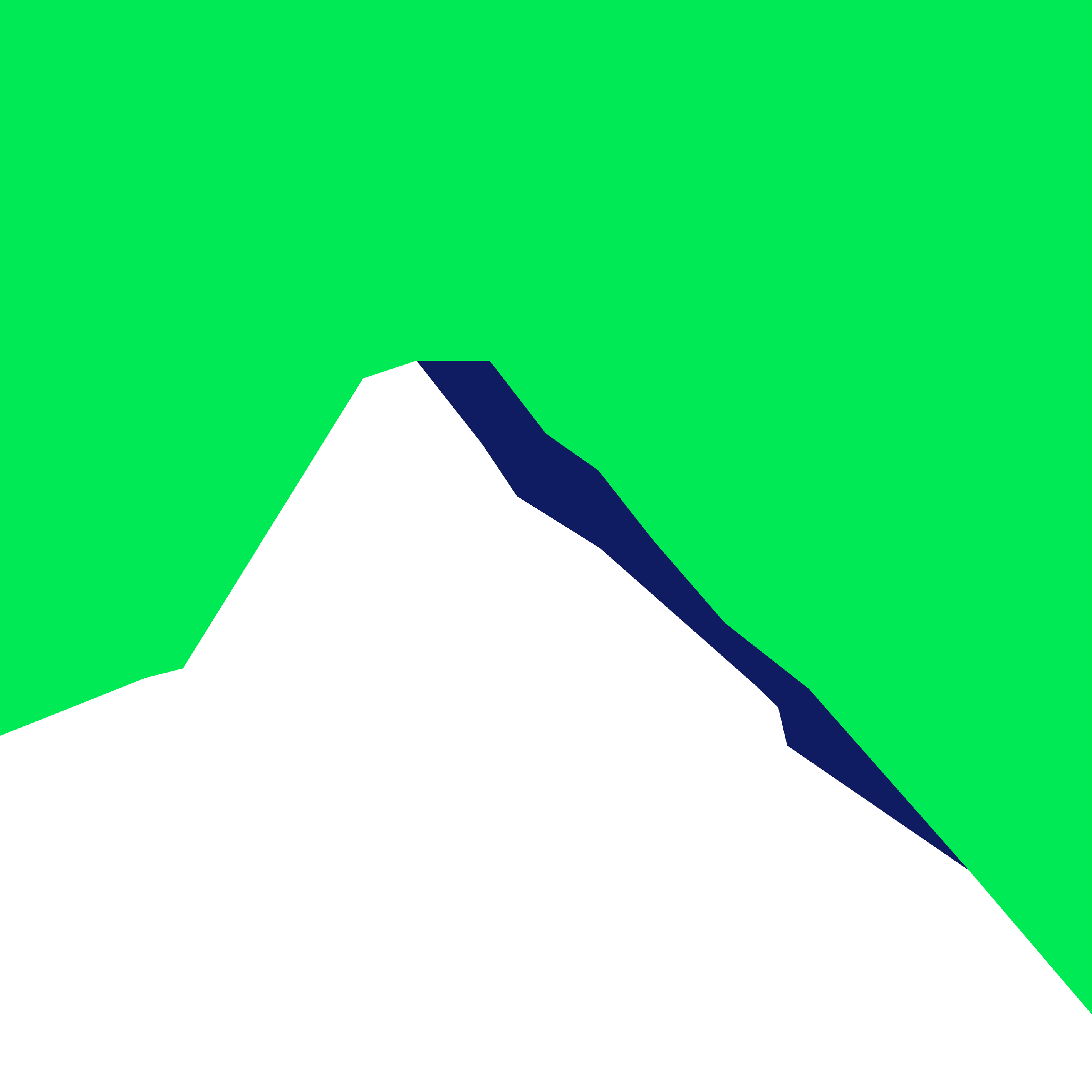 Lonely Summit | Foundation