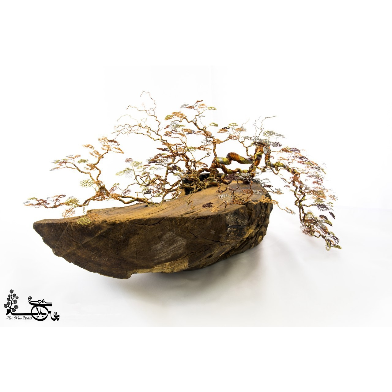Burnt walnut wood bonsai # 1-1 | Foundation