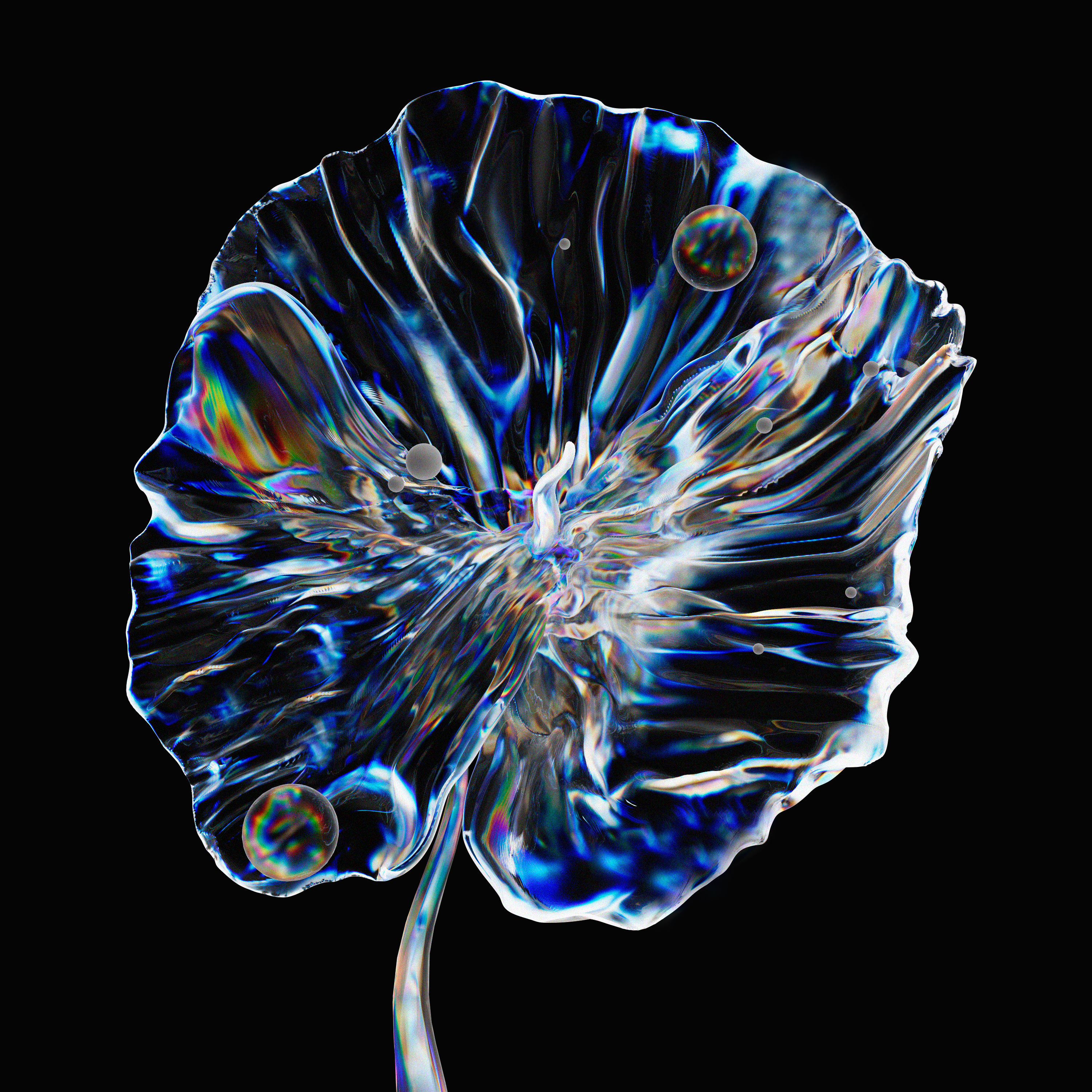 Luminous Flower | Foundation