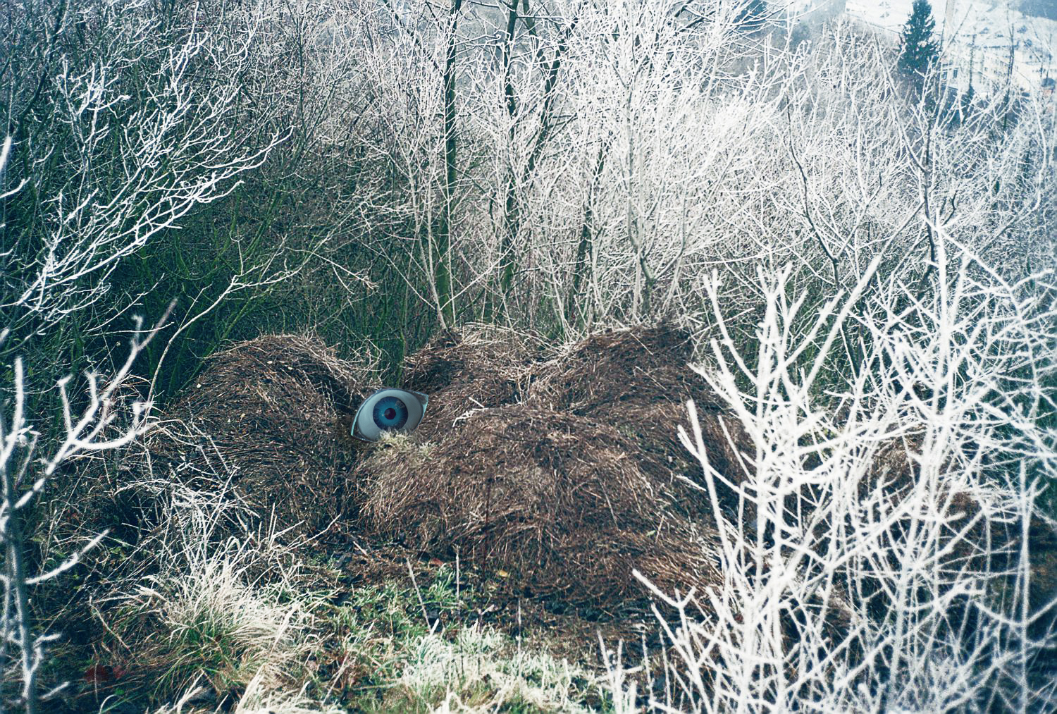 Bet_Orten_Self mythology_THE EYE | Foundation