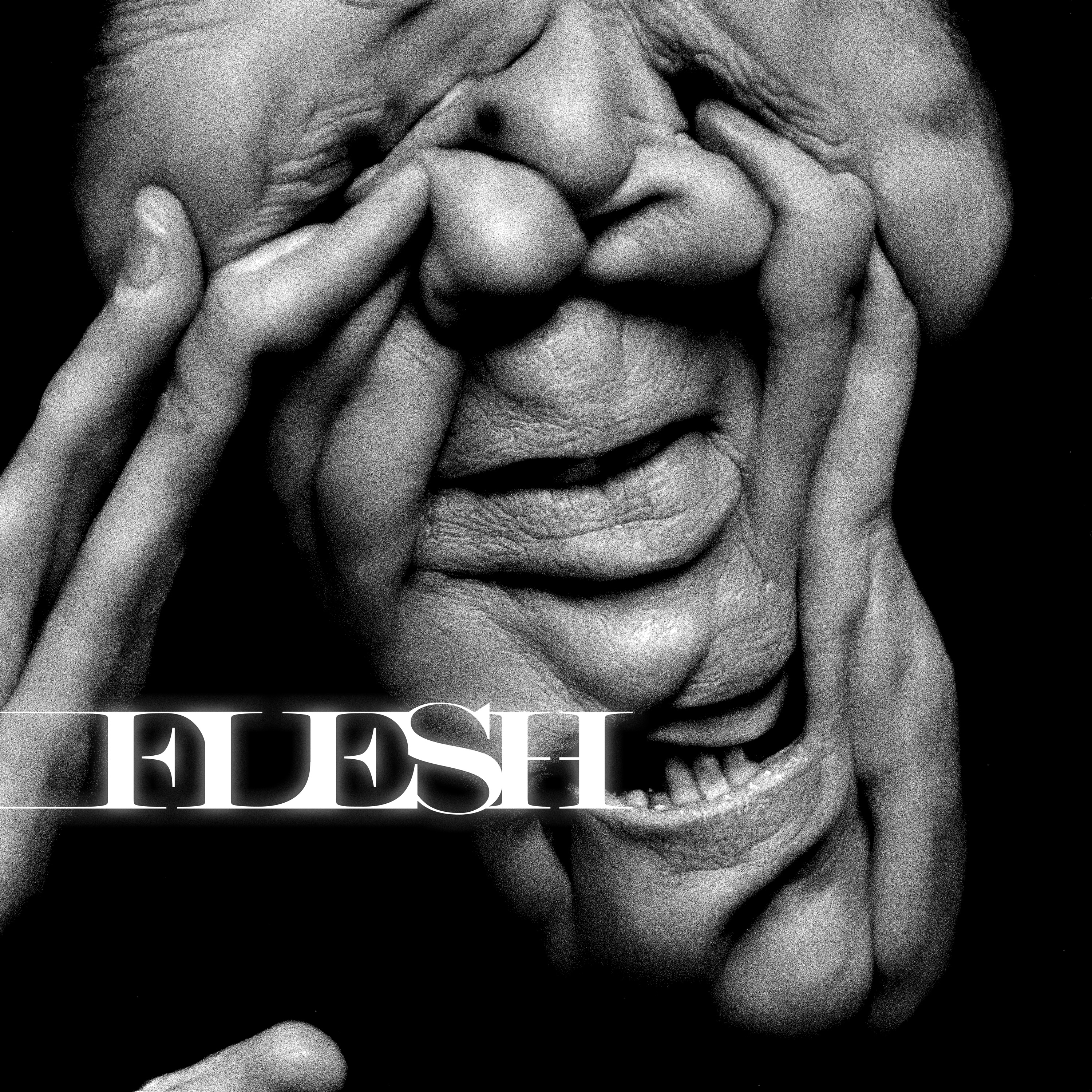 FLESH | Foundation