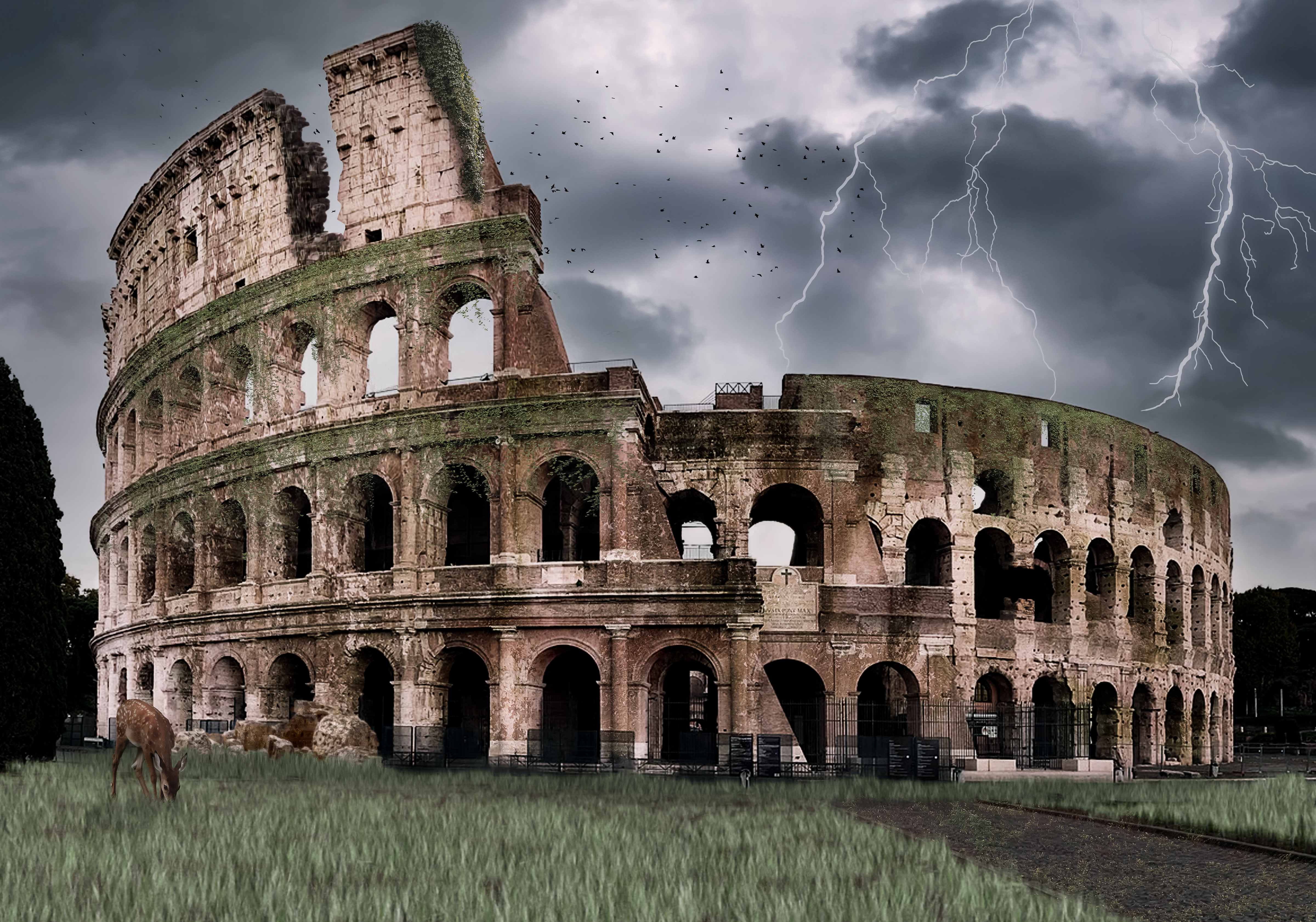 Roman Colosseum | Foundation