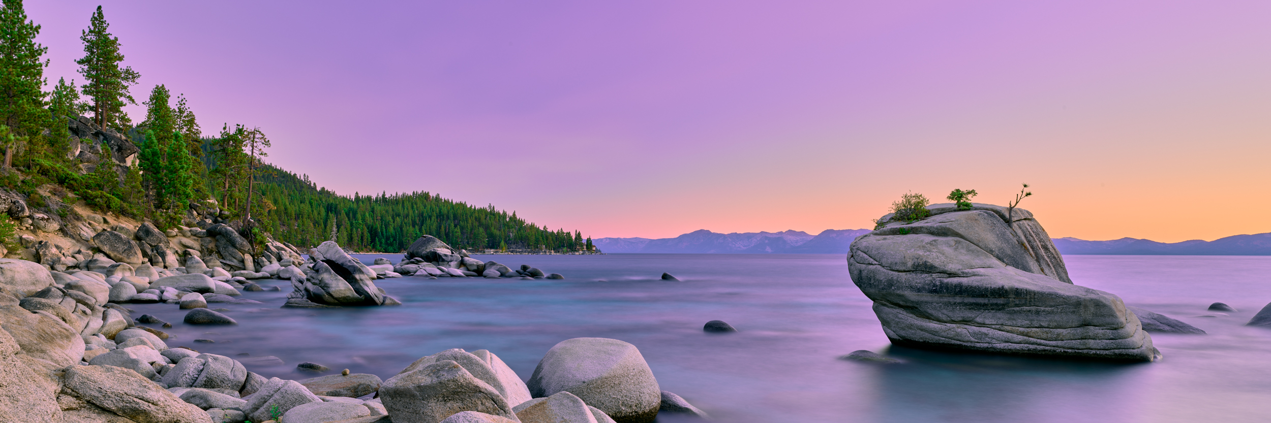 Violaceous | Foundation