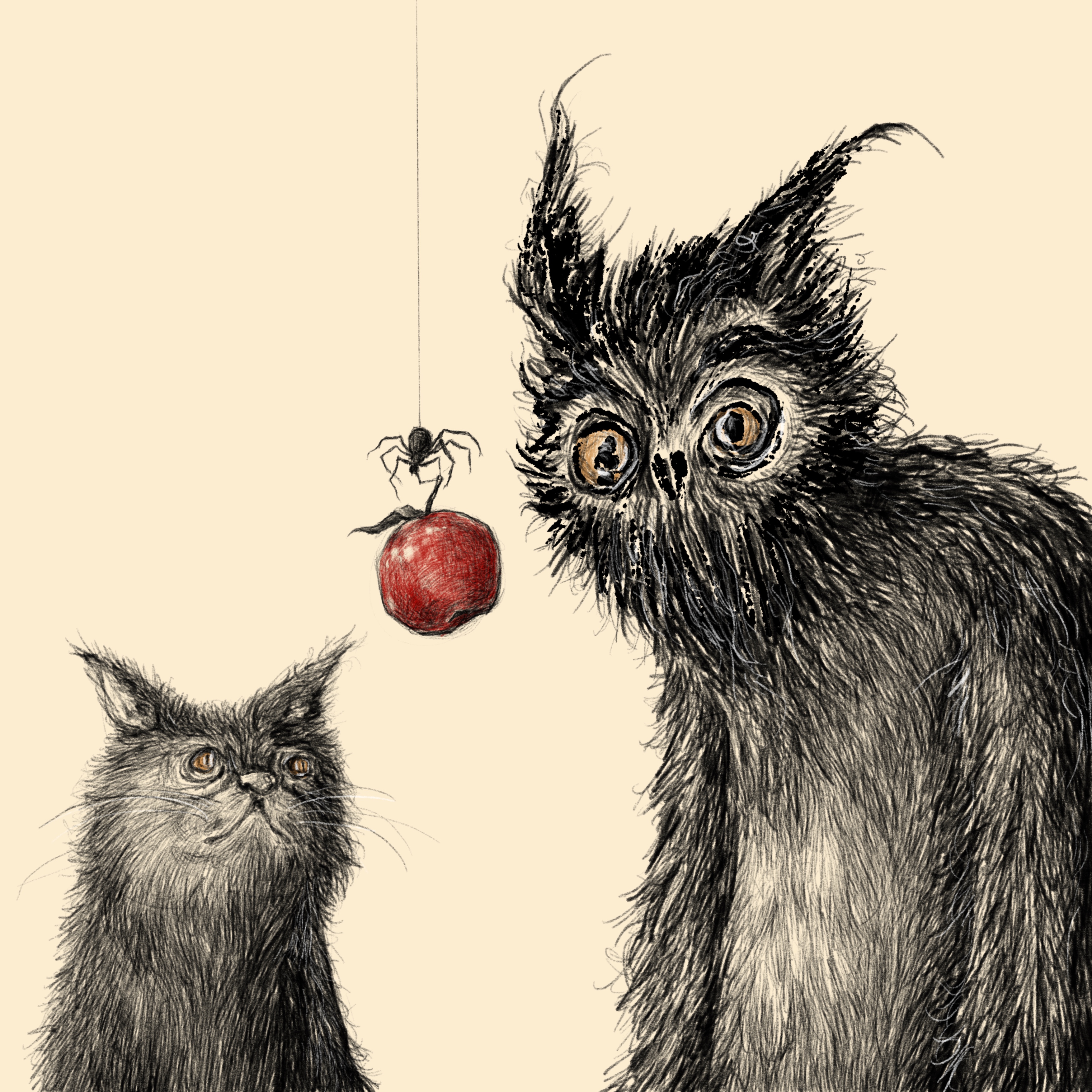 Two Cats(?) , One Apple and a little Spider. | Foundation