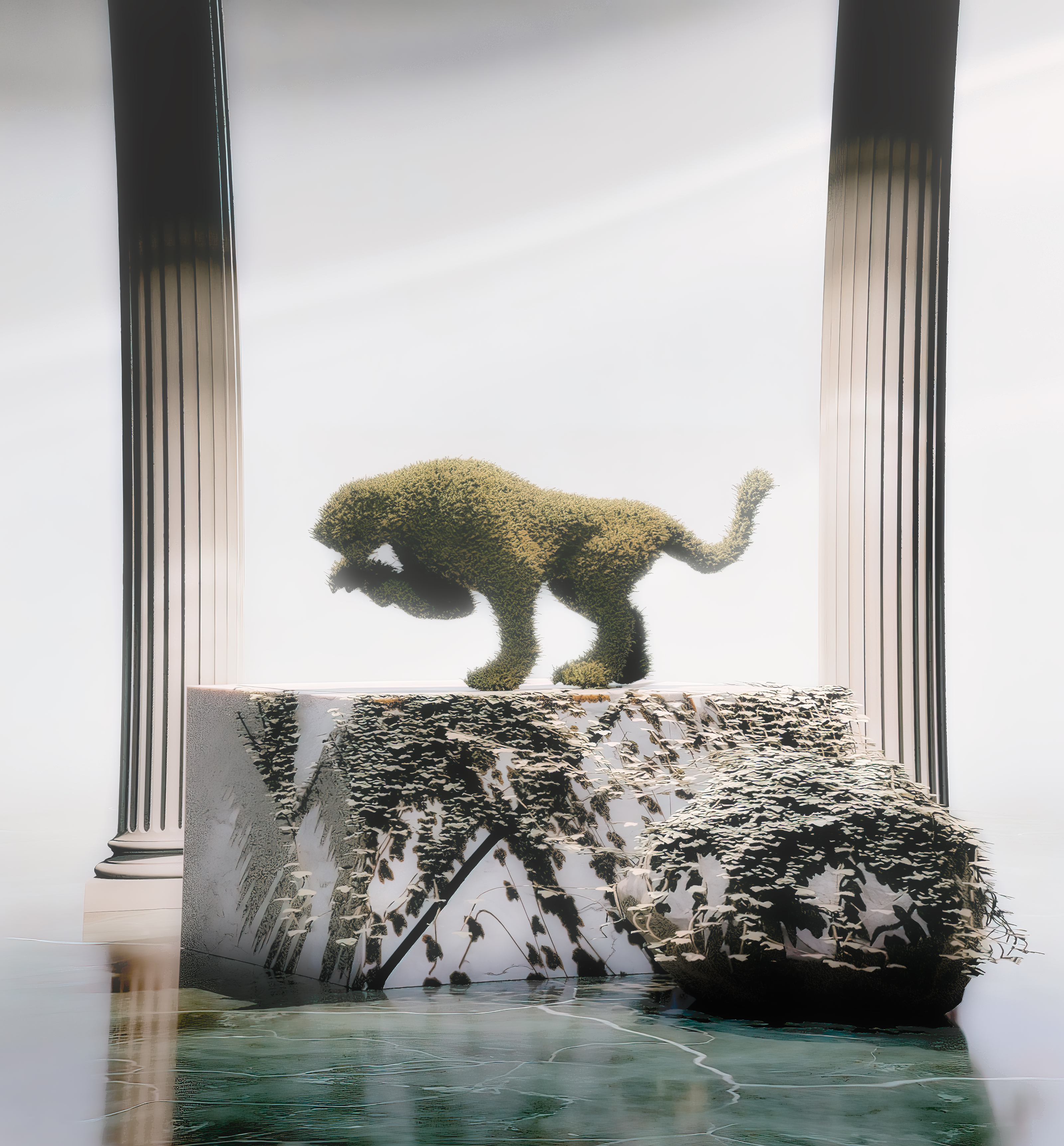 Felidae | Foundation