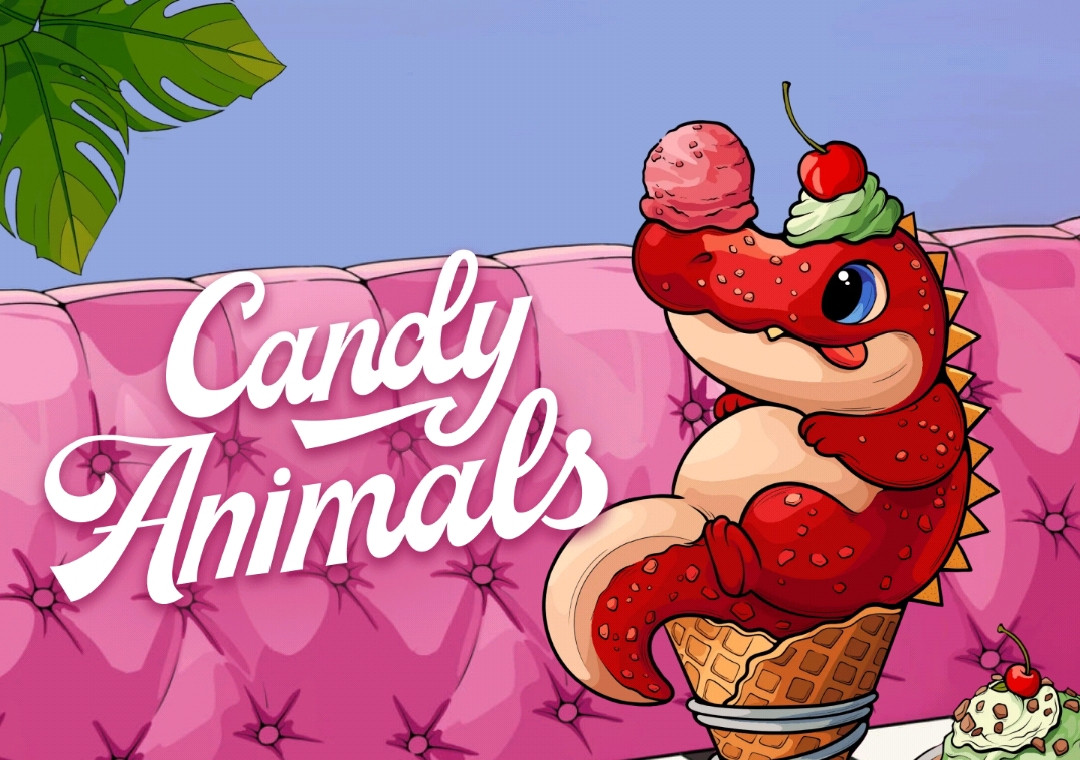 Candy Animals | Foundation